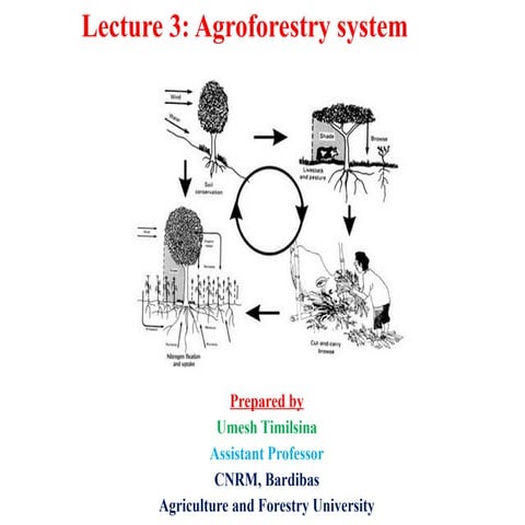 Agroforestry system | PPTX