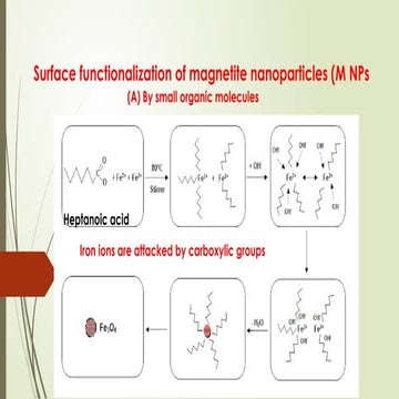 Lecture 3- continue surface functionalization of M NPs.pptx
