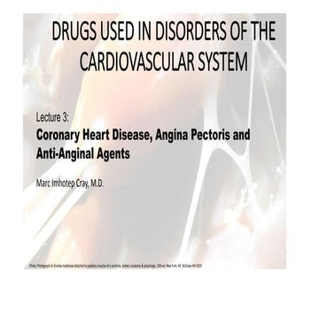 Lect 3 Coronary Heart Disease, Angina Pectoris and Anti-Anginal Agents ...