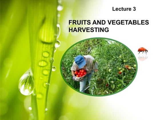 Lecture 5: Transport and Storage of Fruits and Vegetables | PPT