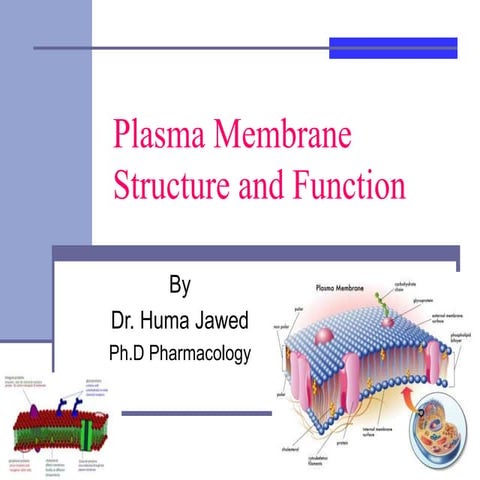 Cell Membrane Structure and Function.ppt