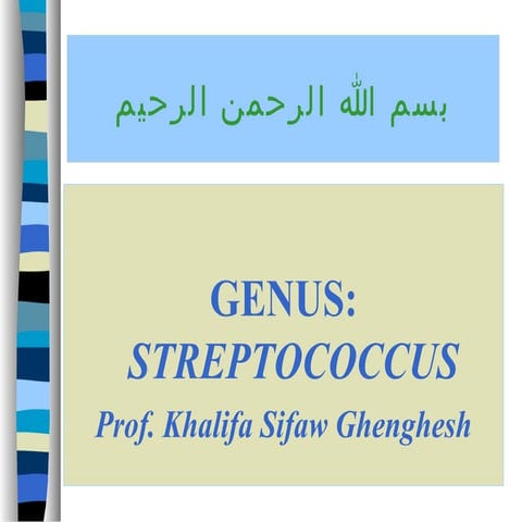 Lecture 3 Streptococcus pyogenes | PPT