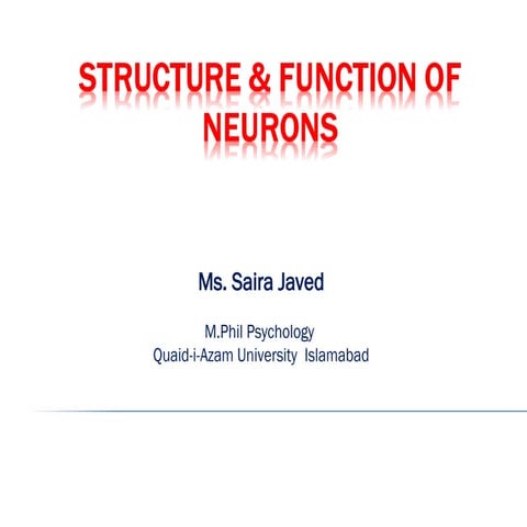 Structure of neuron and functions of neuron | PPT