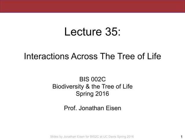 Bis2c Lecture 35 Symbioses Across The Tree Of Life Ppt