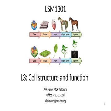 Presentation 1.pptx how to write a story | PPTX