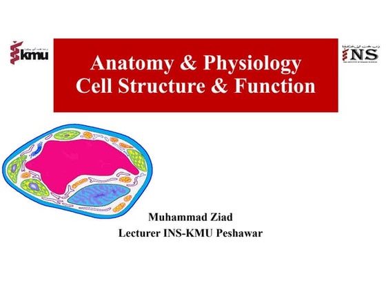 Cell Structure and Function-GRADE 7 Biology.pptx