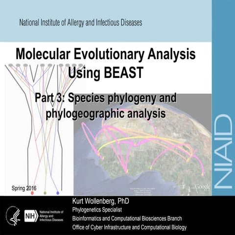 BEAST: Species phylogeny and phylogeographic analysis | PPTX
