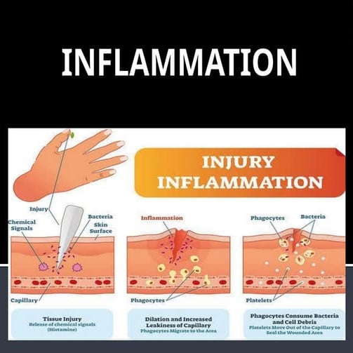 Lecture 3_Inflammation and its types_acute inflammation.pptx