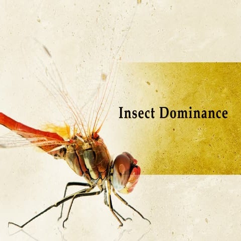 Lecture 3*"The Dominance of Insects"* .pptx