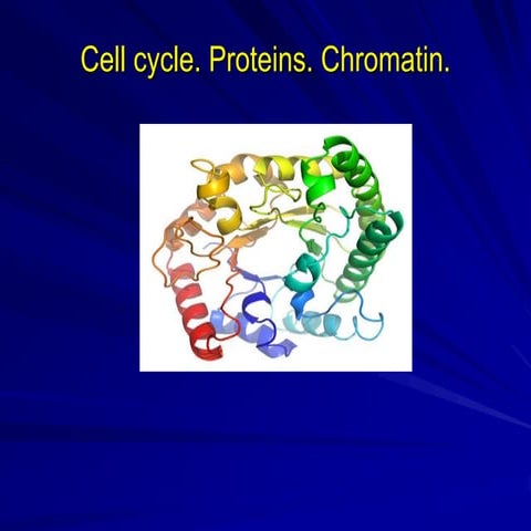 The Effects Of Flip Flops On Your Body