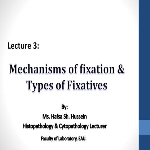 Lecture (3) mechanisms of fixation | PPTX