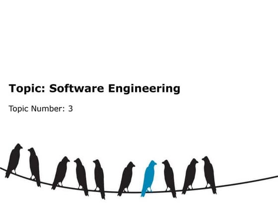 Software Engineering Practice | PPTX | Computer Software and Applications | Computing