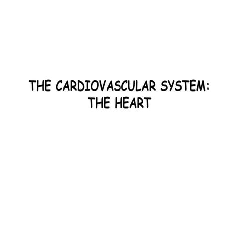 Lecture 3 the cardiovascular system | PPT
