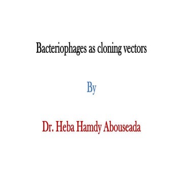 Lambda vector | PPT