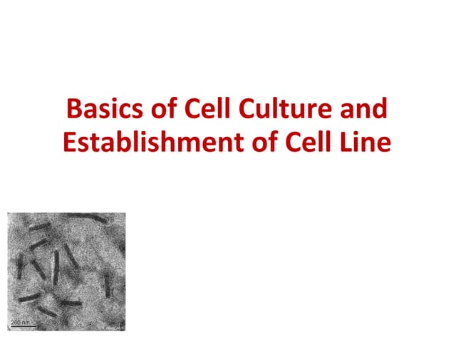 Types of cell culture | PPTX