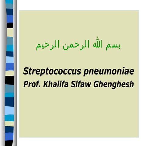 Lecture 4 Strep. pneumoniae | PPT