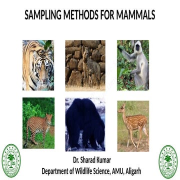Population counting method line transect, point count, mark and ...