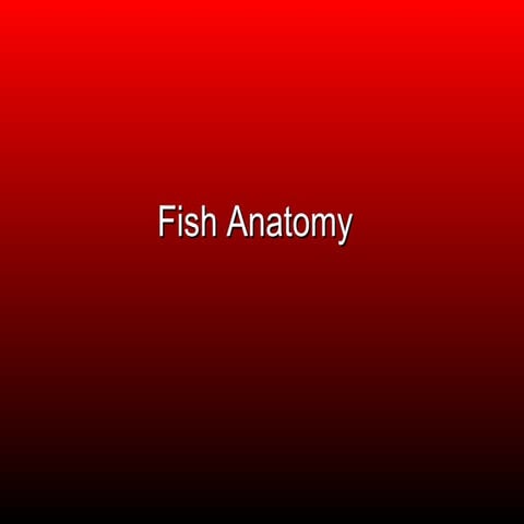 Veterinary Anatomy of Internal Organs of the Fishes | PPT