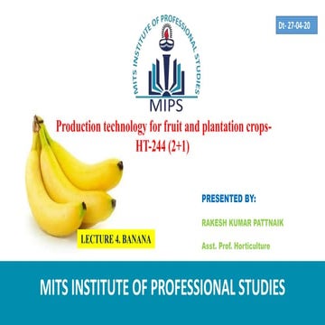 Banana Production Guide-GP Dean.pptx