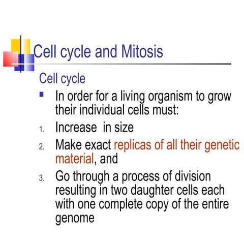 Lecture 4 mitosis | PPT | Needlework | Arts and Crafts