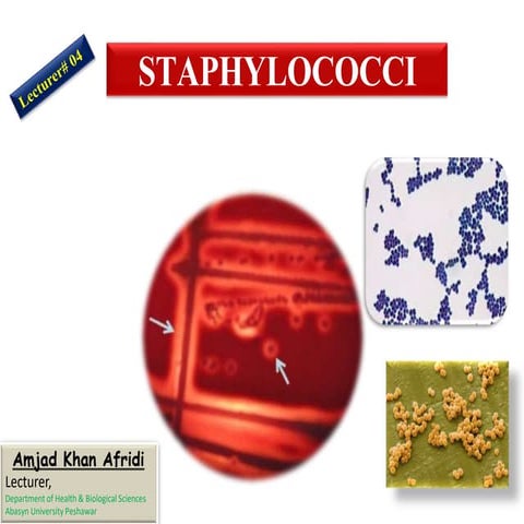 Staphylococcus Ppt