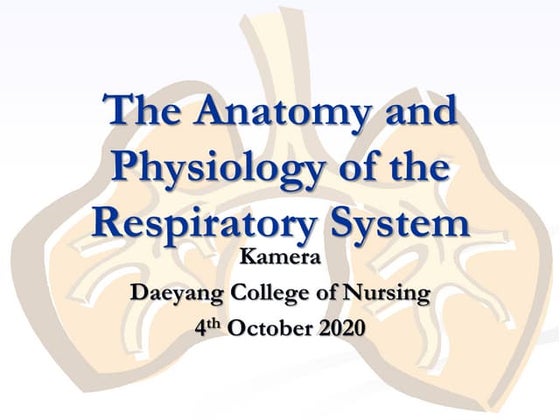 Anatomy and Physiology of Respiratory System-1.pptx