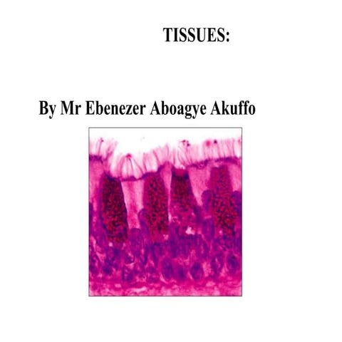 Structure of a Tissue,Functions and types of Tissue | PPT | Biological ...