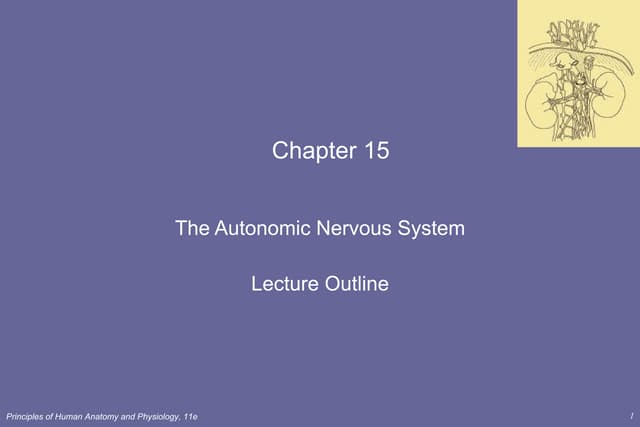 Autonomic nervous system | PPTX