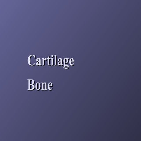 Cartilage & bones | PPT
