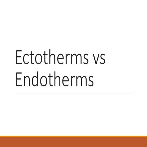 Lecture 5 ectotherms vs endotherms | PPTX