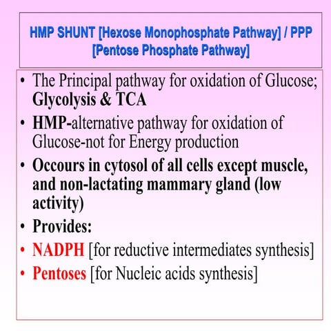 Lecture 5 -HMP. pdf | PPT