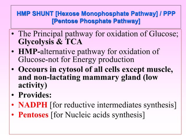 HMP Shunt | Hexose Monophosphate Pathway | Pentose Phosphate Pathway ...