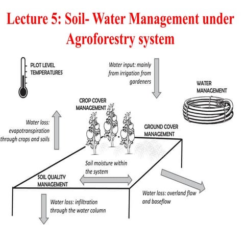 Lecture 5-Soil and Water Management under Agroforestry system.pptx