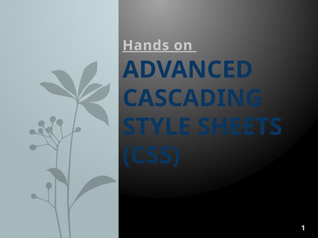 Lecture 5 And 6 Advance Csspptx For Web Ppt 4900
