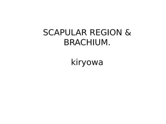 ANATOMICAL SNUFF BOX.pptx