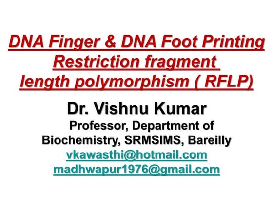DNA Fingerprinting.ppt
