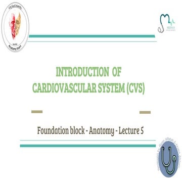 Lecture (5) INTRODUCTION OF CARDIOVASCULAR SYSTEM (CVS) .pdf