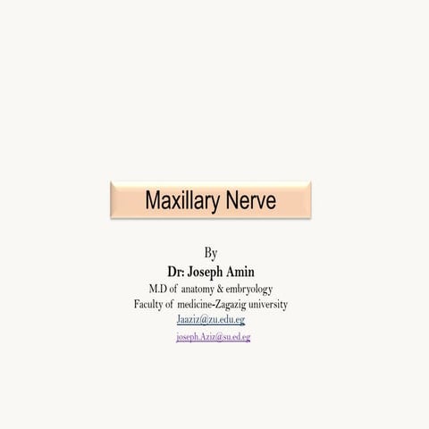 The maxillary nerve | PPTX