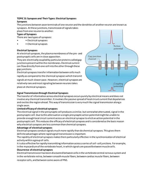 7 text homework 5 | DOCX