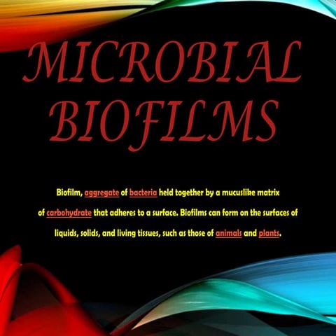 Biofilm formstion lecture (ppt)MicroECO.pdf
