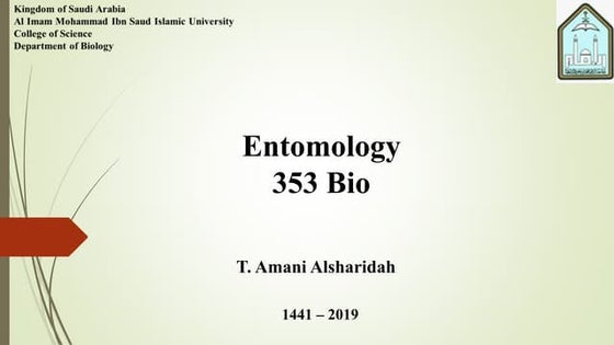 Siphunculata classification | PDF