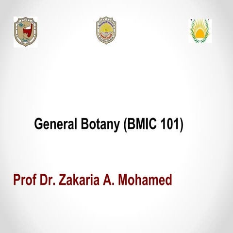 Lecture 6 Pptx