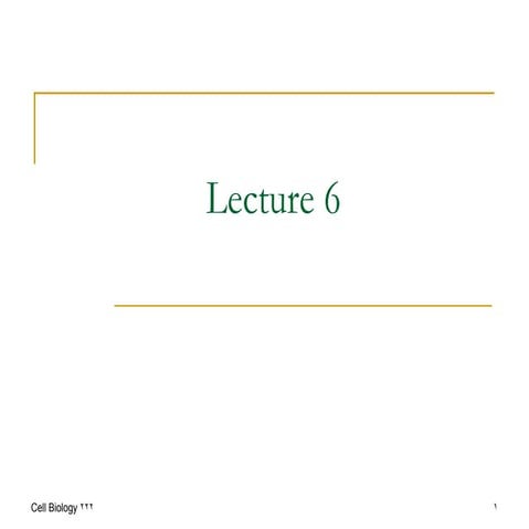 Lecture 6.pdf