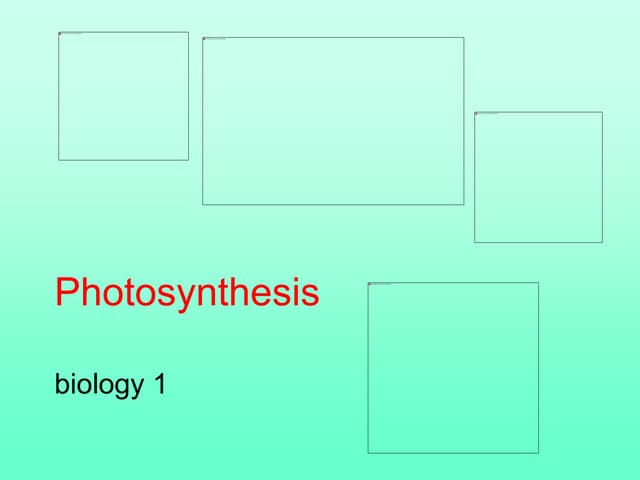 Photosynthesis | PPTX