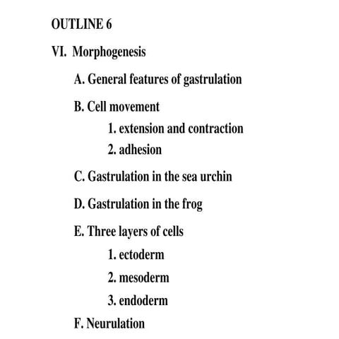 Lecture6.ppt XNclkanslkdvn;kfsnvks;lfzvl;mvld;amvlm | PPT