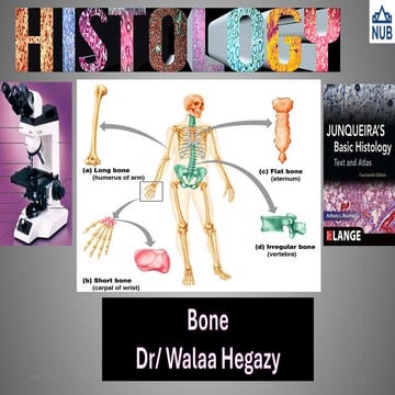 Histology of bone | PPTX
