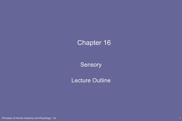 Ch 15 sensory pathways | PPT