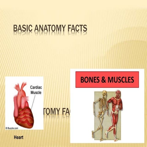 Lecture 6: Skeleton, bones, joints, muscle, heart | PPTX