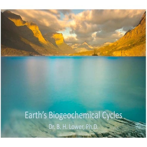 Lecture 6 biogeochemical cycles | PDF