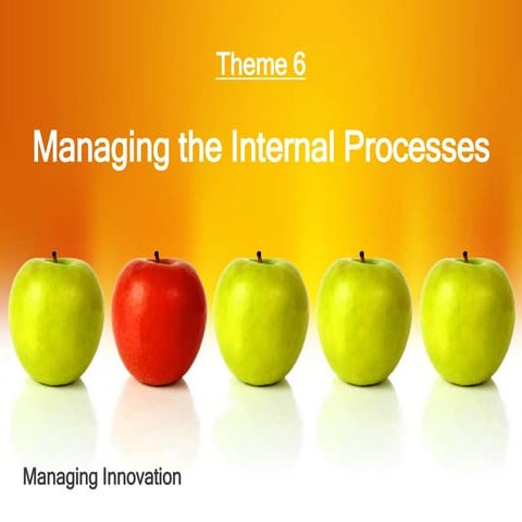 2016 - Lecture 6 managing the internal processes.pot